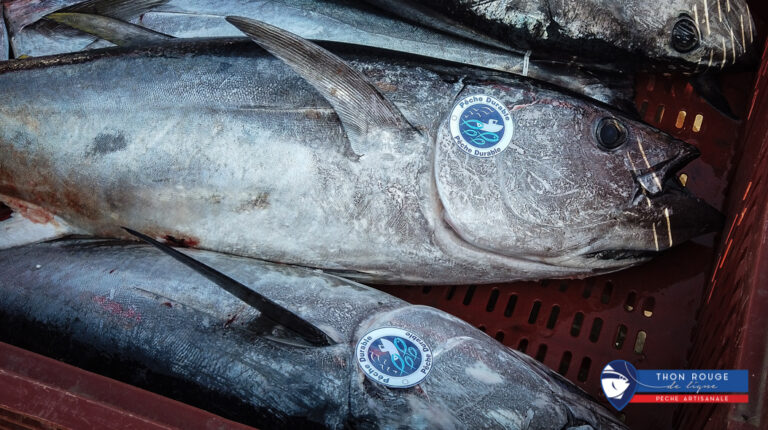 Labels et certifications : comment s’y retrouver pour une pêche ...